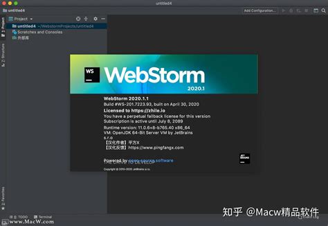 Jetbrains Webstorm 2020 Macweb前端开发神器v202011汉化版 知乎