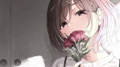 图像分类 Image Classification 知乎