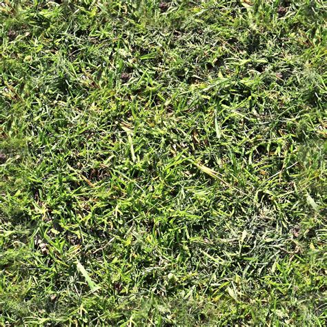 Photo Realistic Seamless Grass Texture In Hires With More Than 6