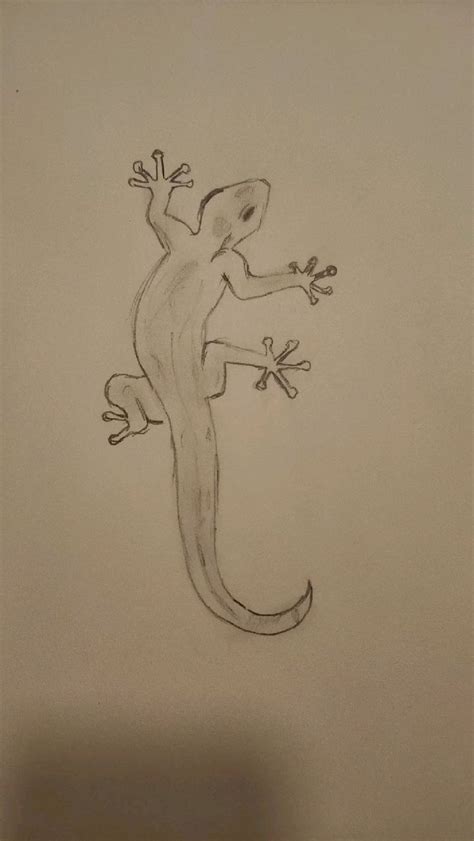 Dessin Salamandre Easy Drawings Easy Doodle Art Cute Art Projects