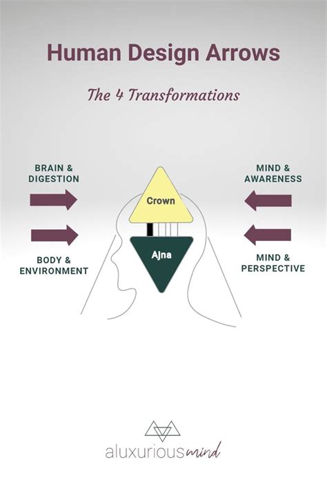 Bodygraph Chart Arrows Aluxuriousmind Human Design Human Design