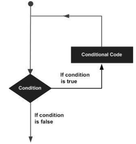 Ncert Solutions Class 11 Computer Science Conditional And Looping