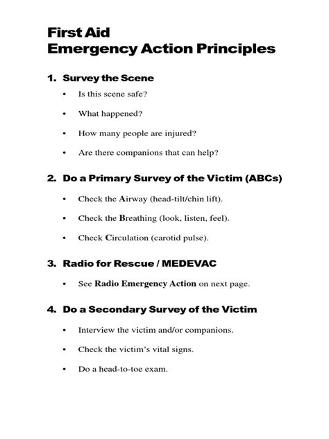 First Aid Emergency Action Principles 1 Survey The Scene Pdf