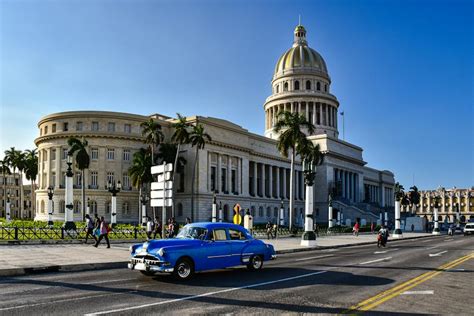 ℹ Los 10 Mejores Remedios Caseros Para Aliviar La Varicela Guía Completa
