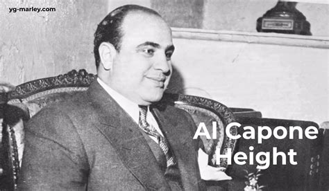 Al Capone Height Physical Appearance And Legacy