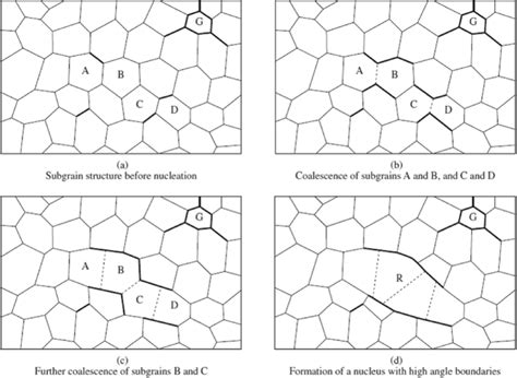 Schematic Showing The Formation Of A Nucleus By Coalescence And