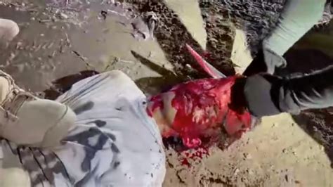 Cartel Del Noreste Skin Mans Face Off While Still Alive Rip Out His