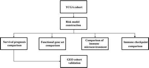 Frontiers Novel Hypoxia Related Gene Signature For Predicting Prognoses That Correlate With