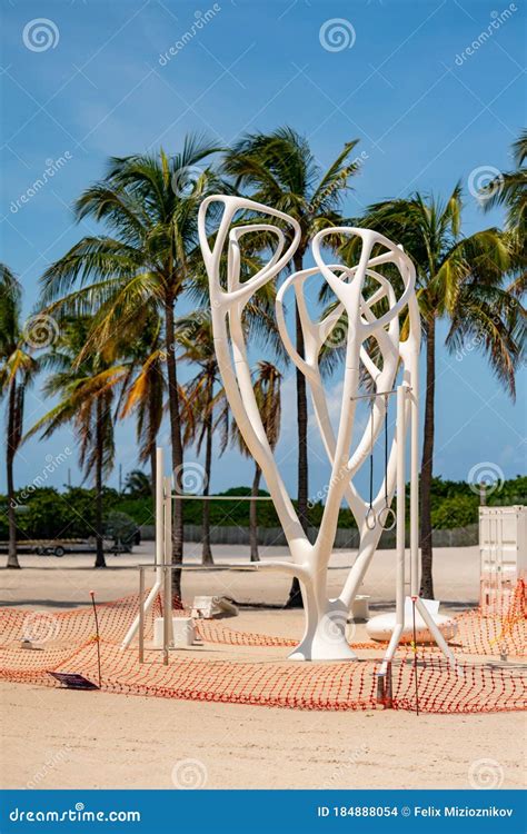 Muscle Beach Miami Photo With Palm Trees In Background Editorial Stock Image Image Of