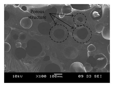Sem Micrograph Showing The Flexural Fracture Surface Morphology Of