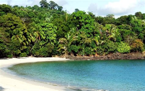 Manuel Antonio Nationalpark Die Größten Naturschutzgebiete Der Welt