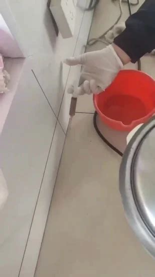 Factory Medicine Cockroach Bait Cockroach Gel Bait Injection Kill