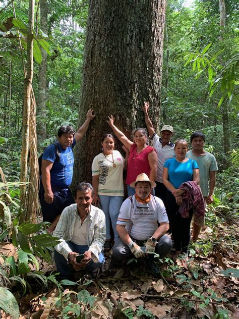 Peru Empowering Indigenous Peoples In The Peruvian Amazon Size Of Wales
