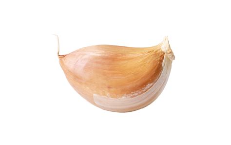 Clove Of Garlic