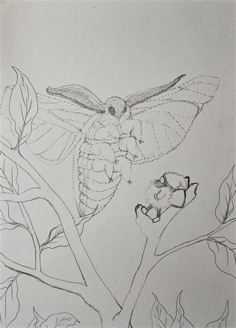 Everyone Is Fluffy Drawing By Lora Sager Doodle Addicts