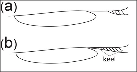 schematic representation of the different degrees of proximity between