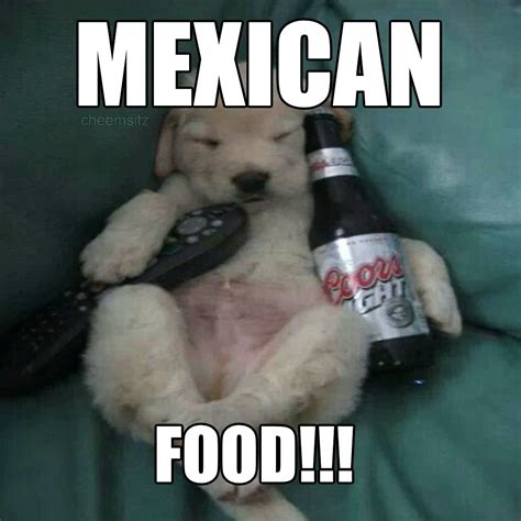 Diego Cheemsitz • Instagram Photos And Videos