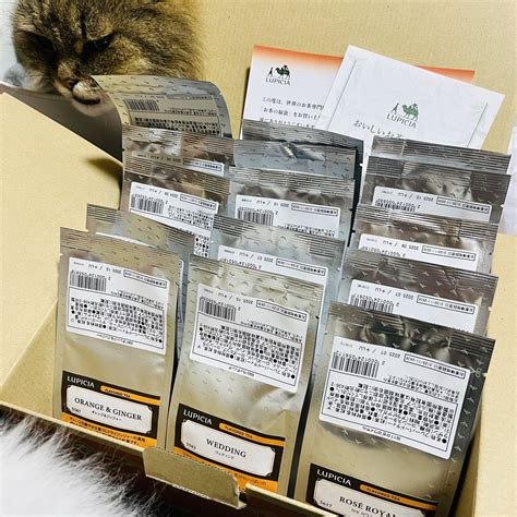 ルピシア【2024年冬・竹3】福袋の中身をネタバレ！🍵リーフティー・紅茶フレーバードのみ