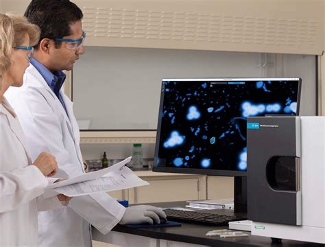 Microplastics Laboratory Analysis At Sean Murdoch Blog