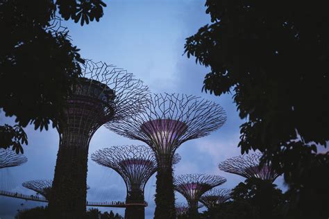 Sustainability Counts PwC Asia Pacific