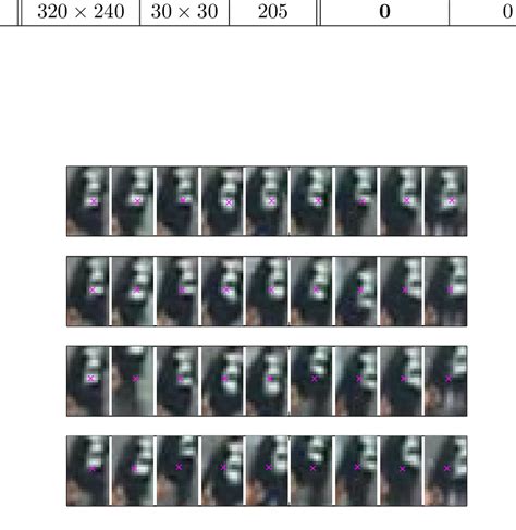 Matched Object Regions For A Target In The Sequence Multipeople A Using
