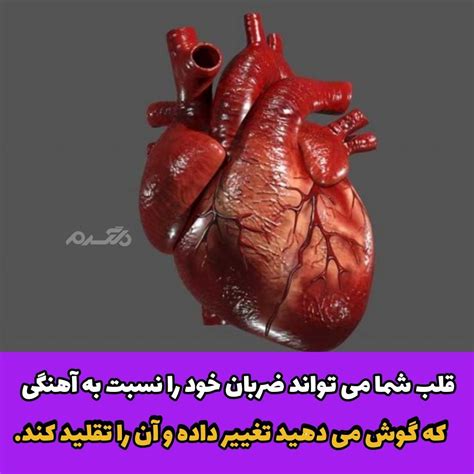 واقعیت های باورنکردنی و حیرت انگیز در مورد کارکرد بدن انسان که هر کسی