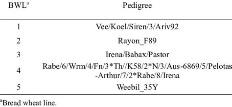 Origen Of Experimental Bread Wheat Lines Download Table