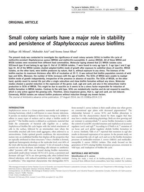 Pdf Small Colony Variants Have A Major Role In Stability And Persistence Of Staphylococcus