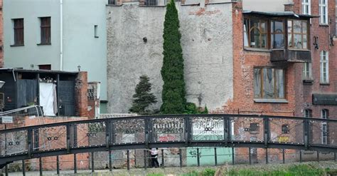 Quiz Pedestrian Bridge Quizzly Ai