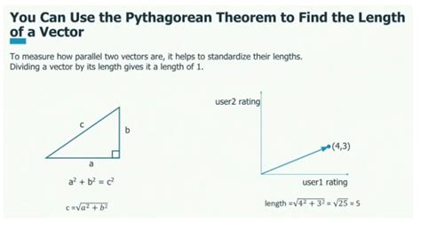 Visualizing Vectors Basics Every Data Scientist Should Know