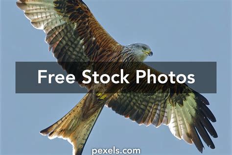 Most Popular Sex Positions Photos Download The Best Free Most Popular Sex Positions Stock