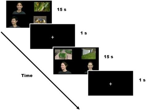 Schematic Representation Of The Experiment Download Scientific Diagram