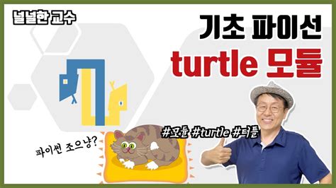 09 4 turtle 모듈 널널한 교수의 기초 파이썬 ft 파이썬 코딩 youtube