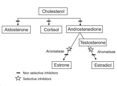 Selective Versus Nonselective Inhibitors Download Scientific Diagram