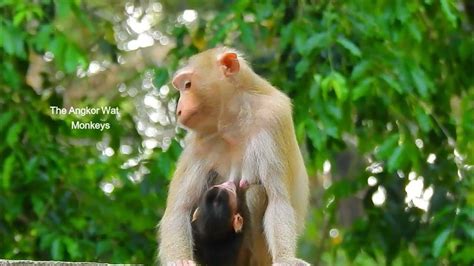 Rose And Liby Trying To Follow Katrina Ask Her Newborn For Nurse But Katrina Feels So Scare