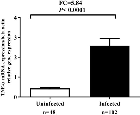 Comparison Of Tnf α Mrna Expression In Patients With Or Without H