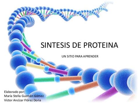 Sintesis De Proteina