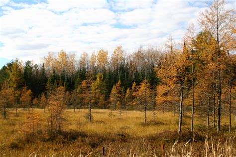 Active Remote Sensing Behind The Research Methods Blog