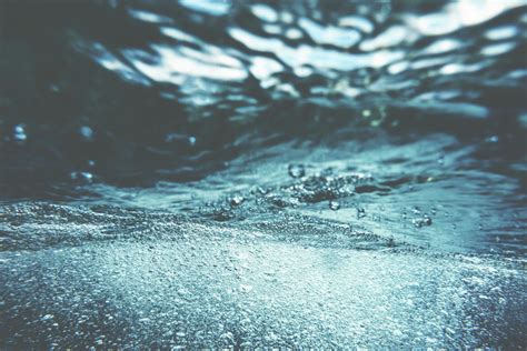 Technical Product Specification Hog Norwegian Origin