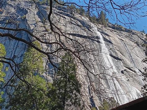 50 Year Wedding Anniversary Celebrated In Yosemite National Park Part 2