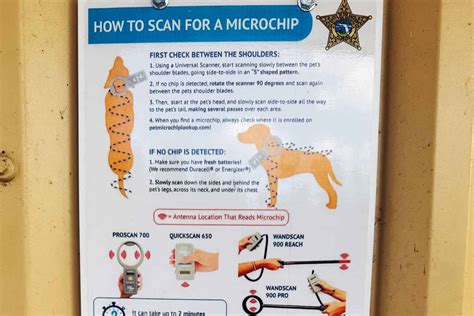 New Microchip Scanner Sites Help Reunite Pets Owners In Walton County