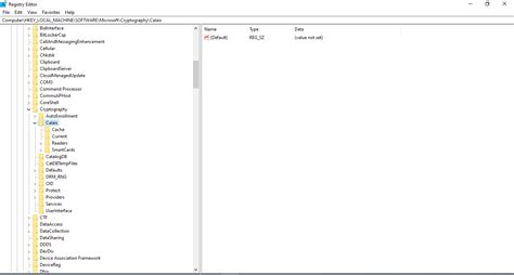 Fix Lỗi Pkcs 11 Trên Cks I Ca