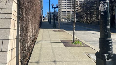 Sidewalks Missing In More Than A Quarter Of Seattles Neighborhoods