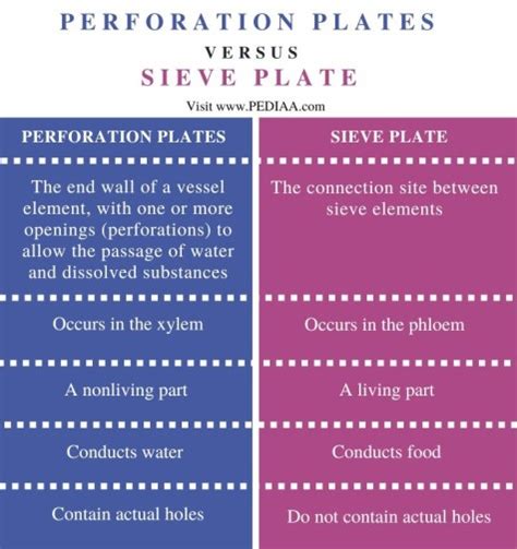 What Is The Difference Between Perforation Plates And Sieve Plate