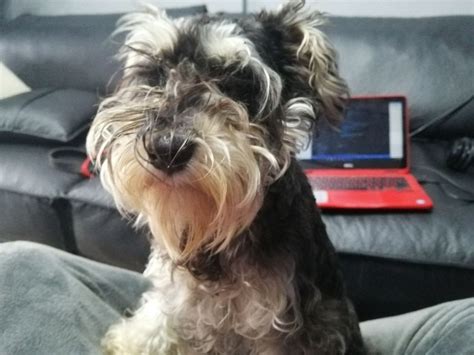 William Priest On Linkedin Webdeveloper Webdevelopment Frontend Frontenddeveloper Programming