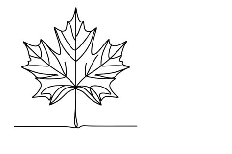 Continuous One Black Line Drawing Maple Leaf Icon Outline Doodle Vector