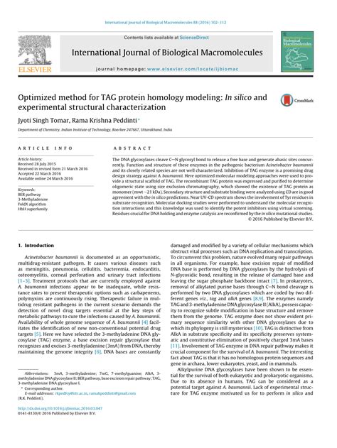 Pdf Optimized Method For Tag Protein Homology Modeling In Silico And