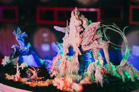 Cracking Aes Ctr A Known Plaintext Decryption Walkthrough By Vishwas Adhikari Medium