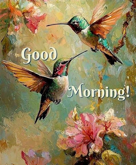Good Morning Wishes Flowers Beautiful Good Morning Pictures With